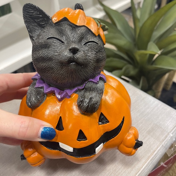 Homegoods | Holiday | Halloween Cat In Pumpkin Jack Olantern Costume ...
